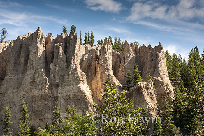 Dutch Creek Hoodoos, BC Image - 0606_MG_3554 by Ron Erwin
