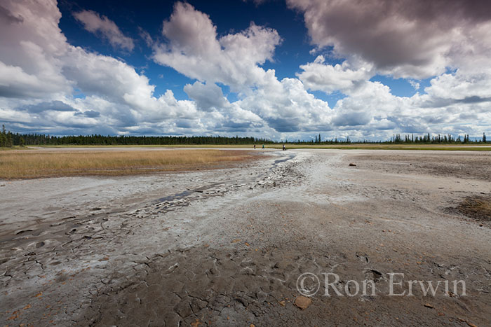 Wood Buffalo National Park Salt Plains Image - 100717D6503 by Ron Erwin